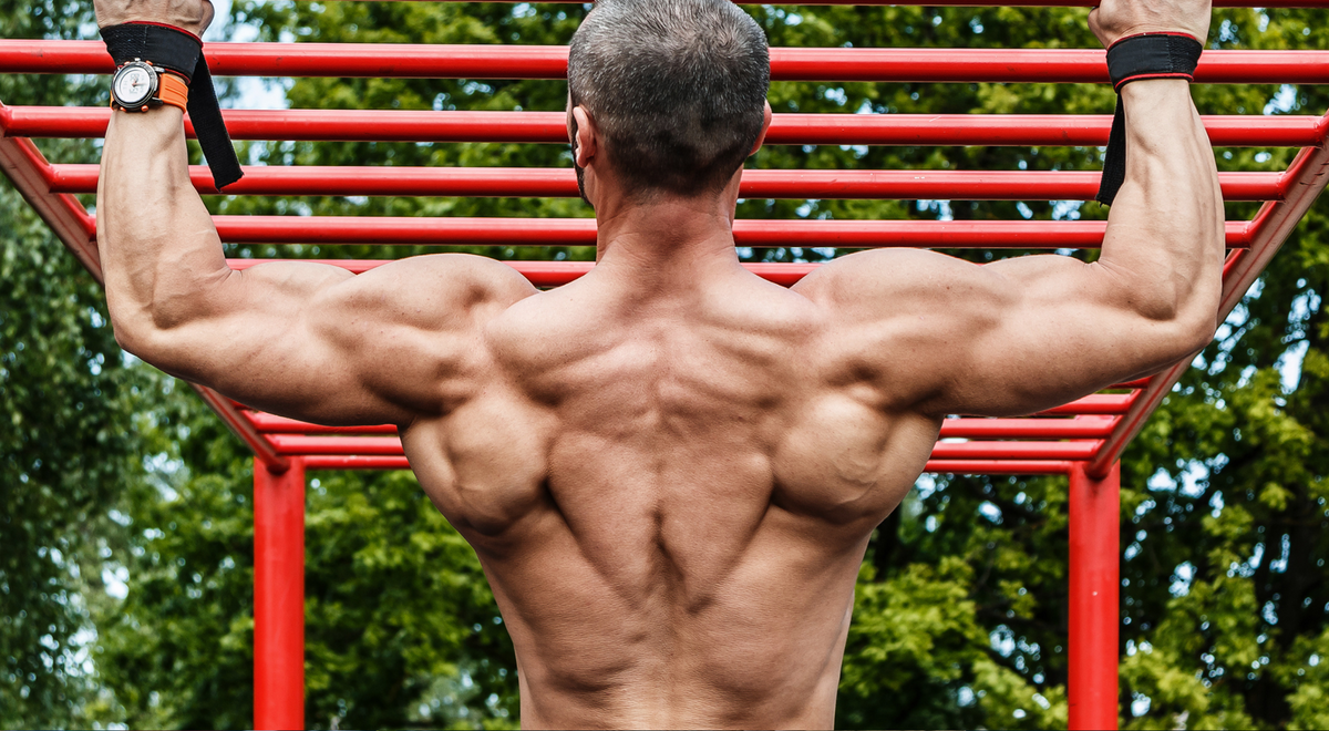 Pull Day Essentials: Crafting an Effective Pull Workout